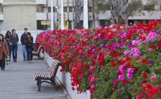 Un recorrido por Valencia a través de sus rosas | Las Provincias