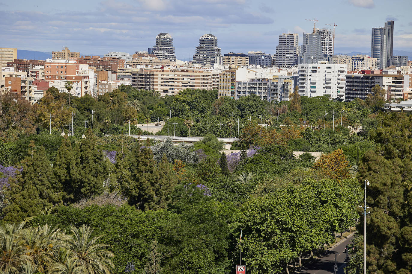 Fotos: Quién vive en el río: el Turia bajo la mirada de seis vecinos ...